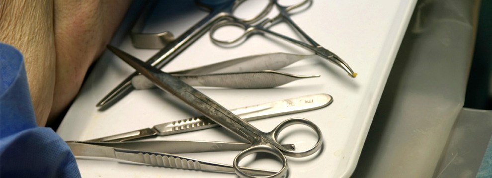 Forensic Pathologist Salary & Job Description Forensic Pathologist Salary & Job Description