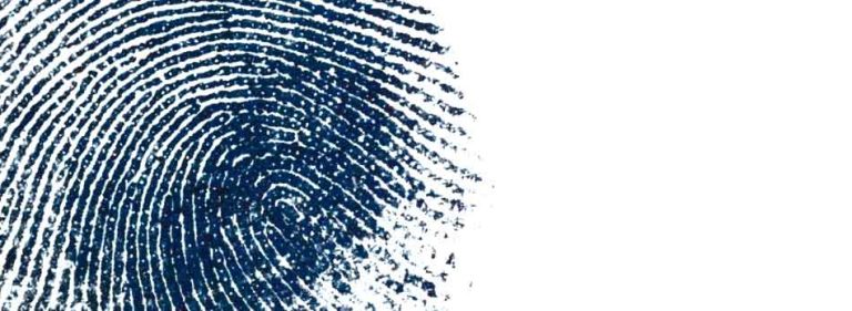 A Guide to Fingerprints: What Information Do They Hold?